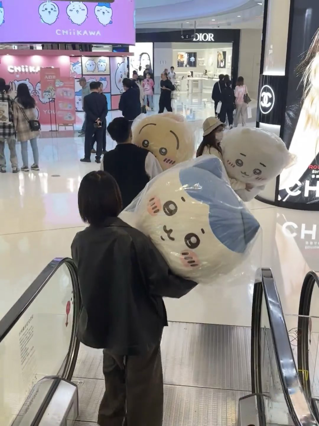 Why is Chiikawa so popular? - Chiikawa Plush